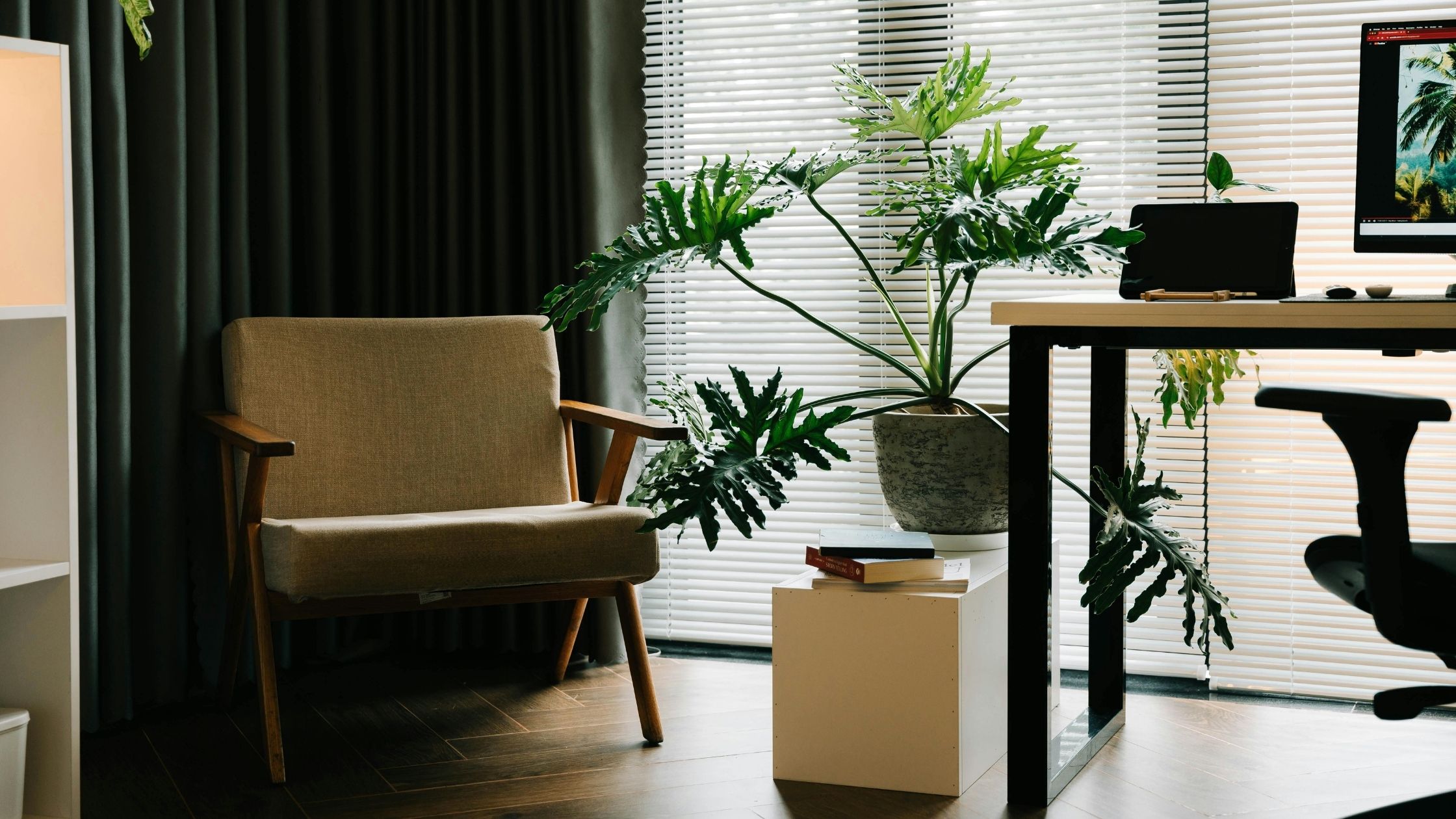 Functieniveaus uitgelegd: junior, medior en senior | Go:Office Recruitment